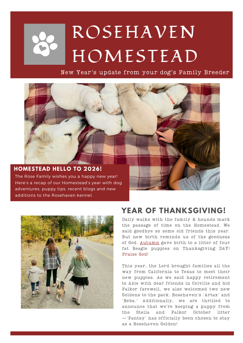 Rosehaven’s Year 2025 in Review – Rosehaven Homestead